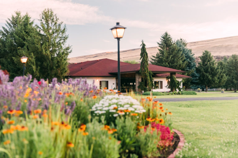 SundownMRanch-20200626-369A4597 - Sundown M Ranch